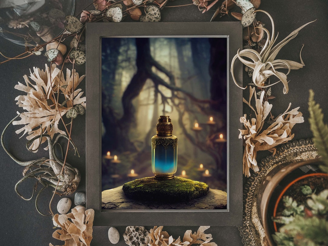 Magic Potion Art Print Poster Digital Illustration Artwork - Etsy