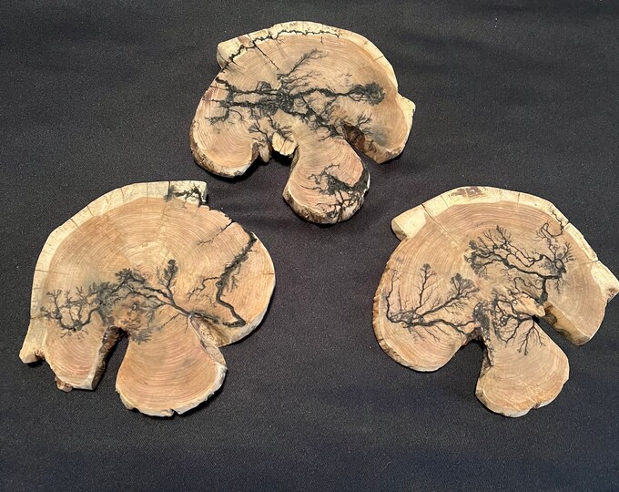 Fracked Cedar Rounds Set of 3 - Etsy