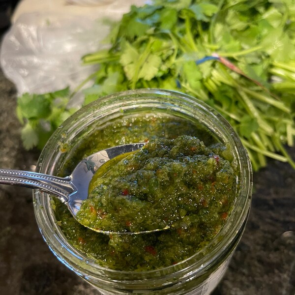 Recao Puerto Rico - Etsy