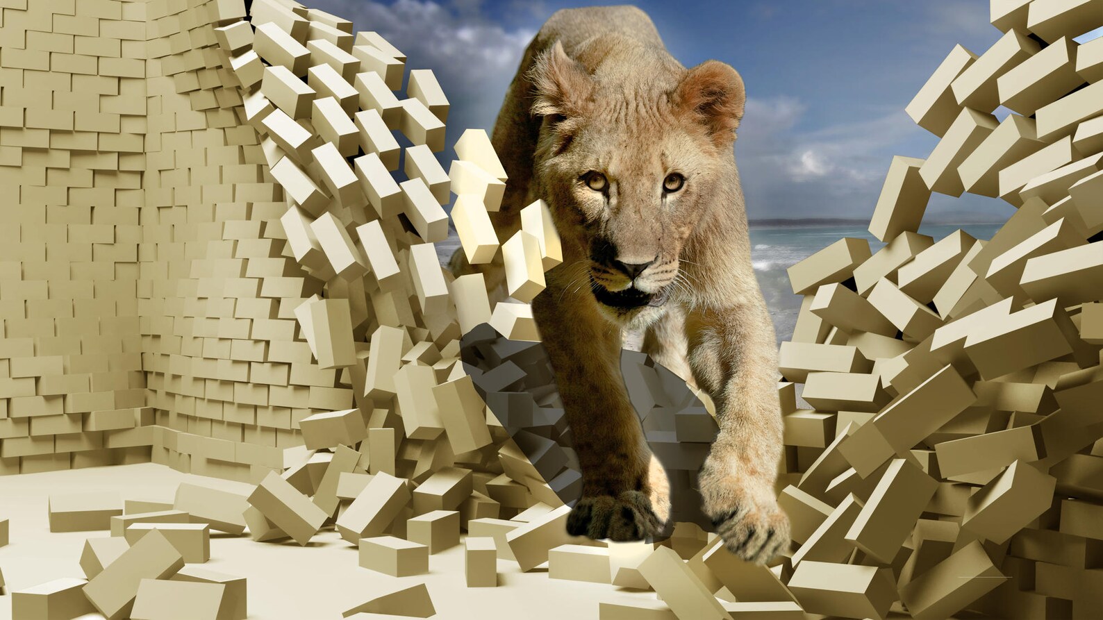 3D Wall Murals Art Decals -young Lion Broke Through the Wall - Etsy