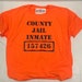County Jail Tee / Prisoner T-shirt / Funny Inmate Tee | Etsy