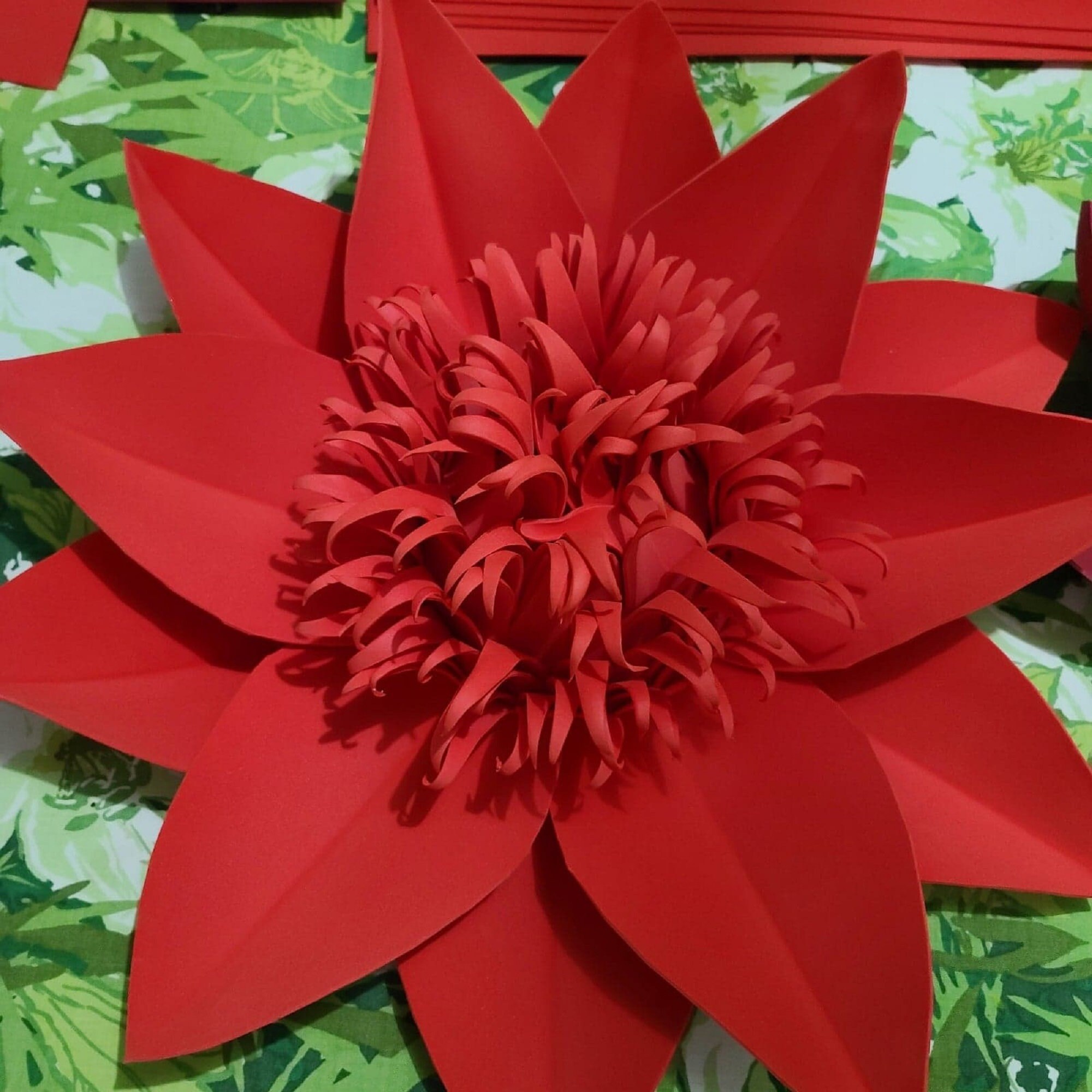 Waratah/australian National Large Foam Flowers/custom Types, Sizes ...