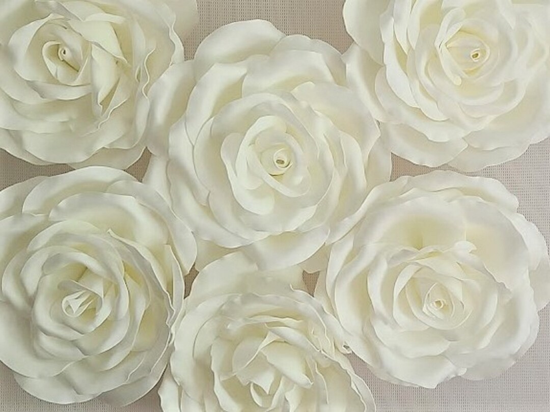 White Roses Flowers Wall/prices Listed for One Flower Each - Etsy