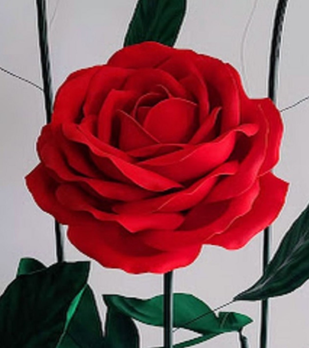 Giant Red Foam Roses With Stem/18-20 Inches in Diam and 3-6 Ft Tall ...