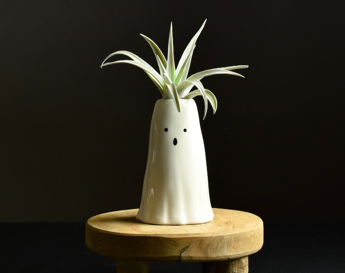 Ghost Air Plant Display - Etsy