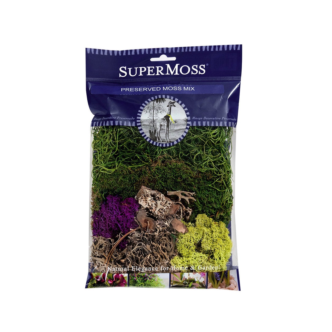 Supermoss Assorted Preserved Moss Mix 2oz - Etsy