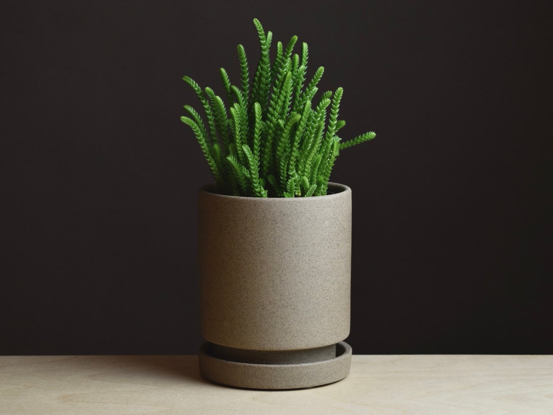 Sand Pot + Saucer - Etsy