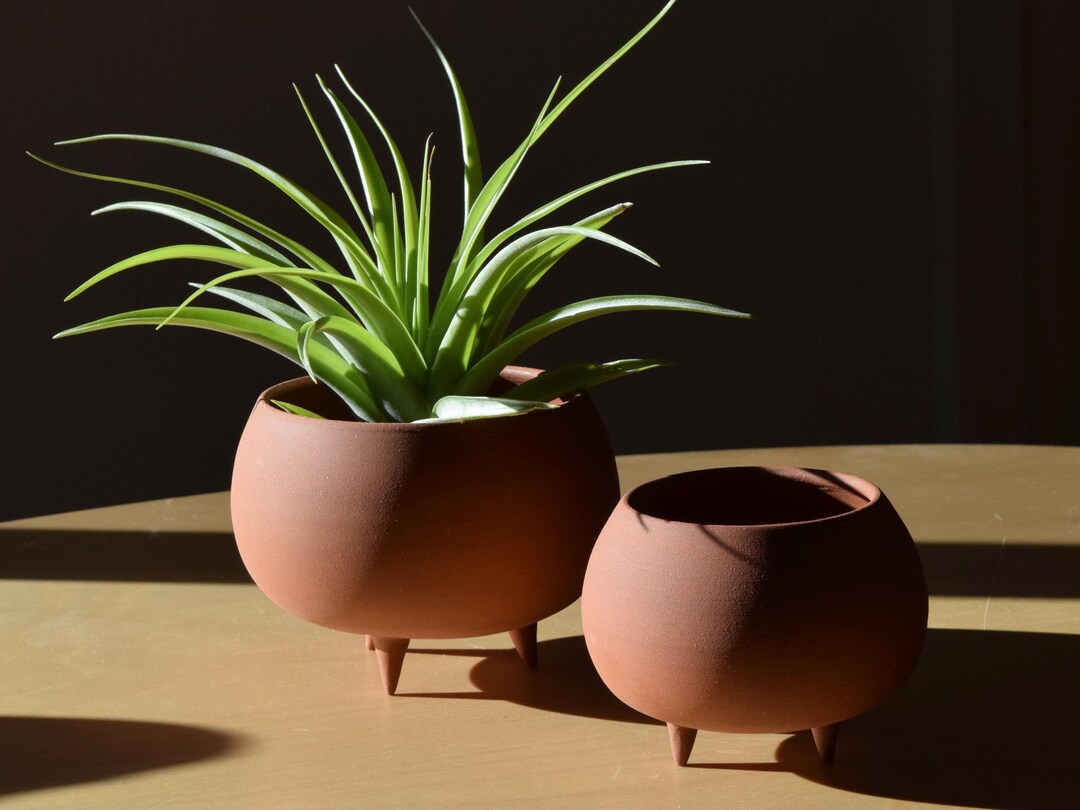 Clay Cauldron With Air Plant - Etsy
