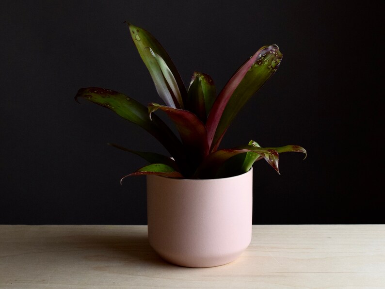 Minimal Pot Blush | Etsy