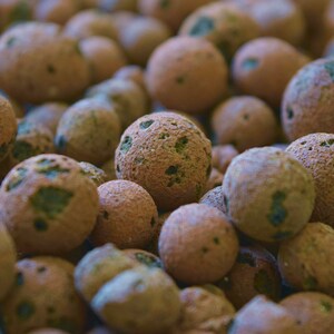 LECA Hydroton Clay Pebble Substrate - Etsy