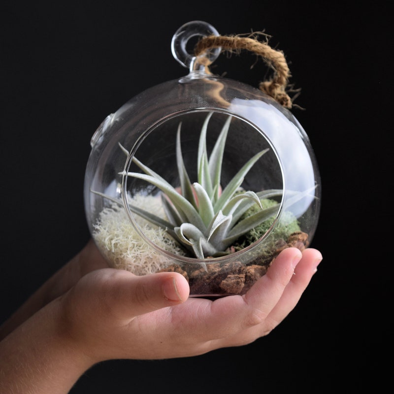 Hanging Glass Orb - Etsy