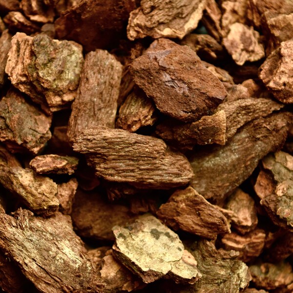 Bark - Etsy