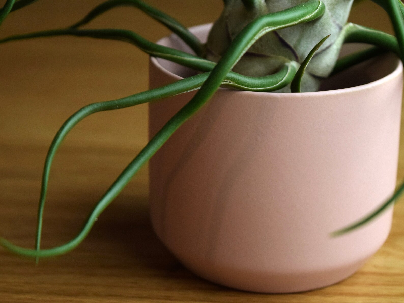 Minimal Pot Blush - Etsy