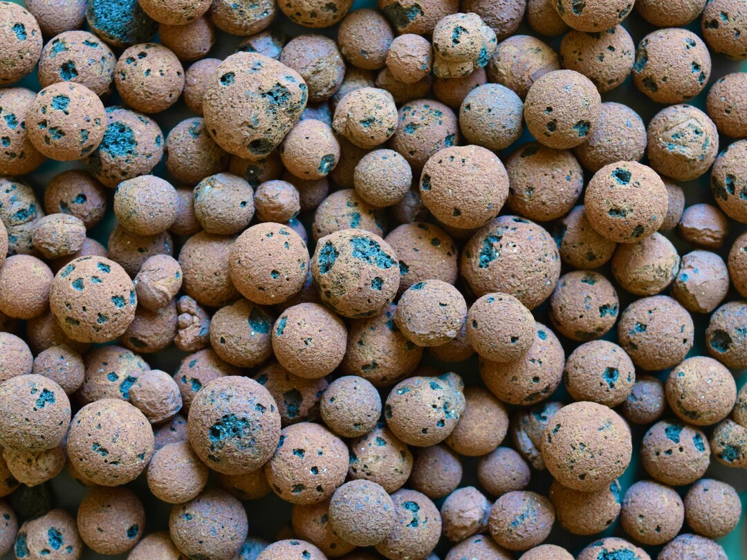LECA Hydroton Clay Pebble Substrate - Etsy