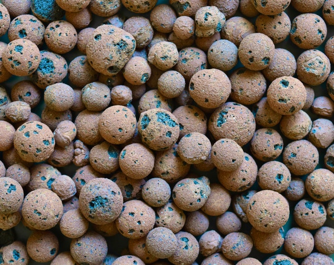 LECA Hydroton Clay Pebble Substrate - Etsy