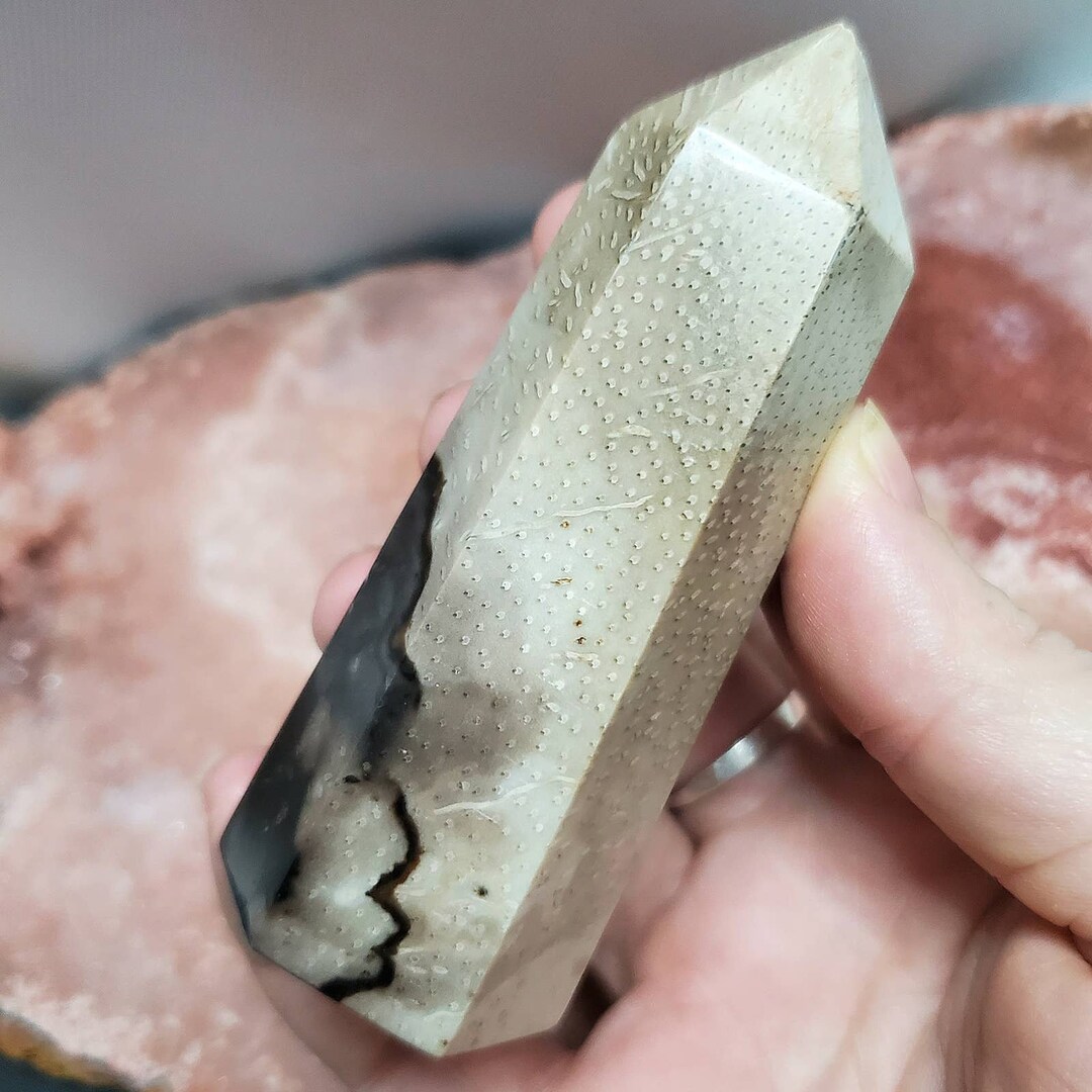 Fossilized Palm Root Generator Tower Indonesia Crystals Minerals Stones ...