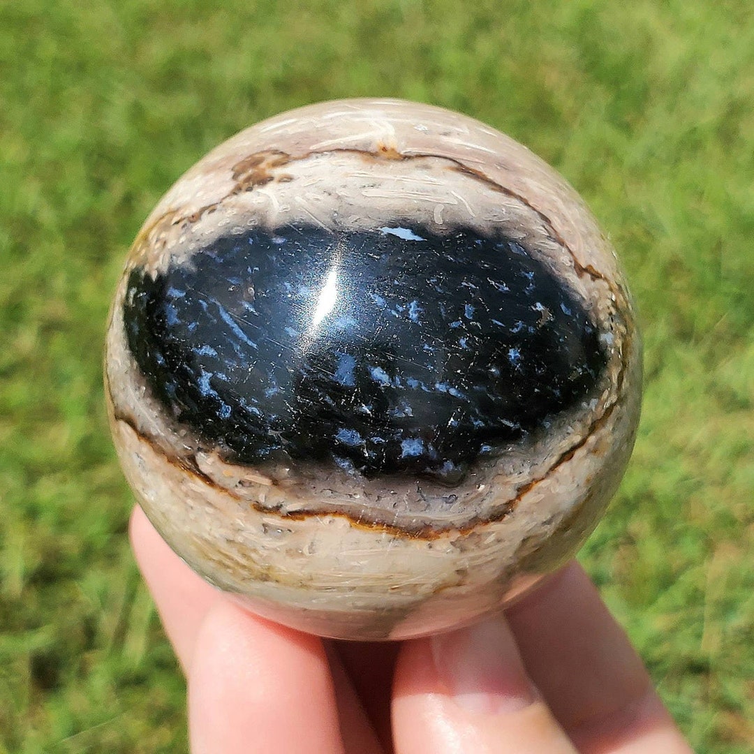 Fossilized Palm Root Sphere Indonesia BONUS GIFT Hematite Ring - Etsy