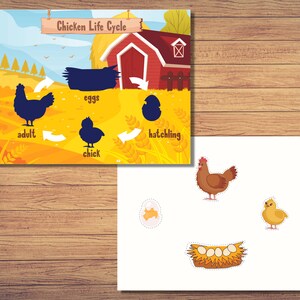 Montessori Life Cycle Board Printable With Animal Chicken for ...