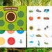 Nature Five Senses Sorting Activity, Human Anatomy, Learn 5 Senses Game ...