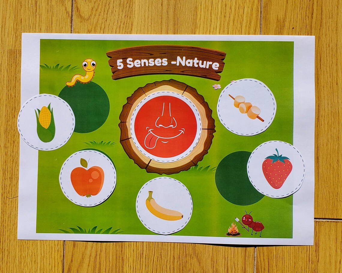 Nature Five Senses Sorting Activity Human Anatomy Learn 5 - Etsy