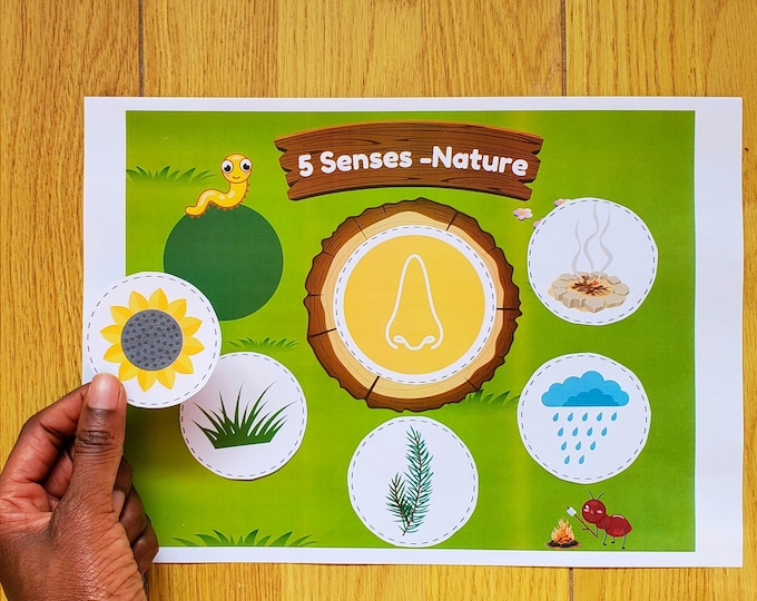 Nature Five Senses Sorting Activity Human Anatomy Learn 5 - Etsy