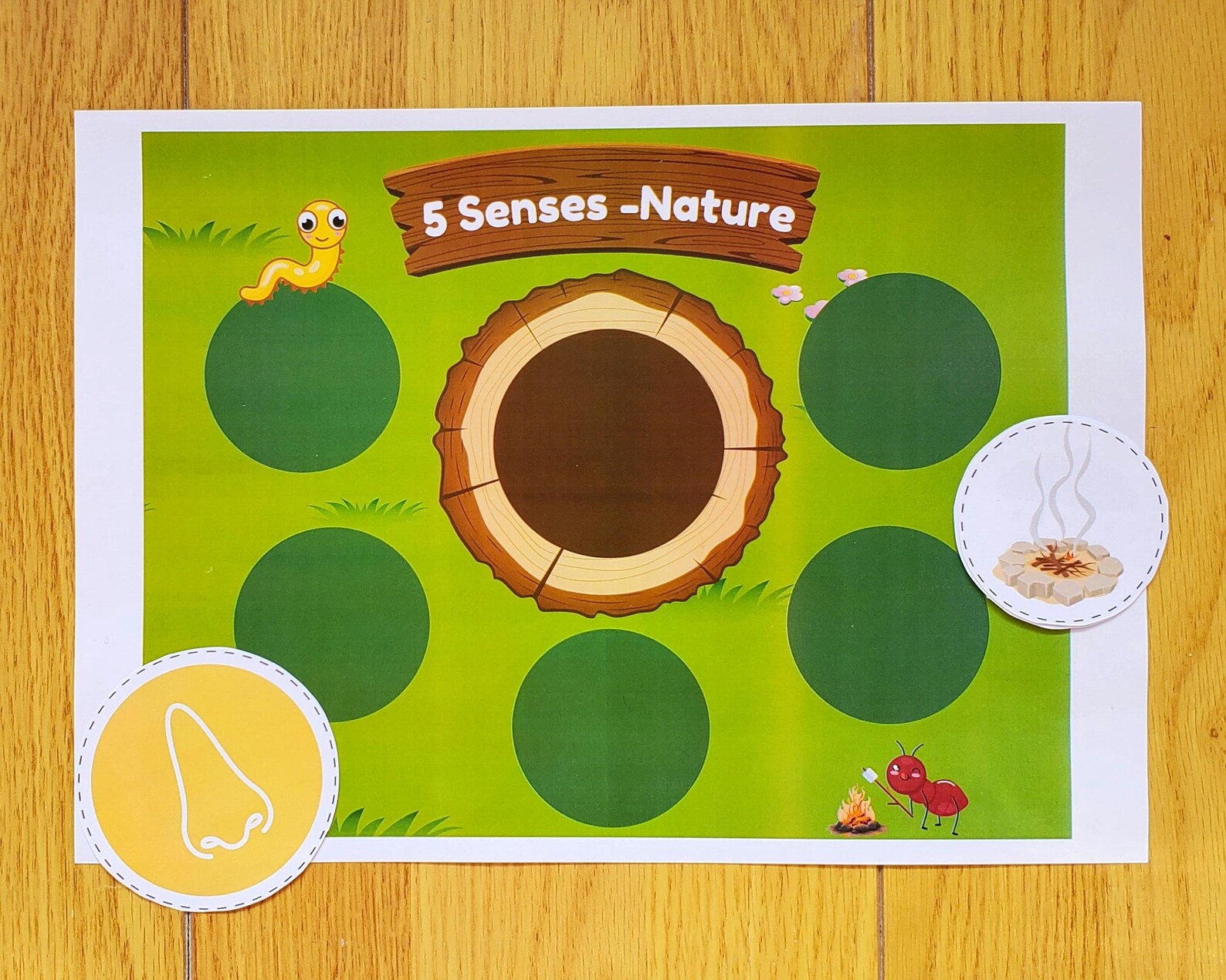 Nature Five Senses Sorting Activity, Human Anatomy, Learn 5 Senses Game ...