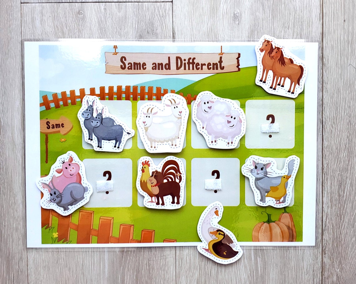 Montessori Sorting Work for Toddlers and Preschoolers, Same Different ...