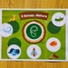 Nature Five Senses Sorting Activity, Human Anatomy, Learn 5 Senses Game ...
