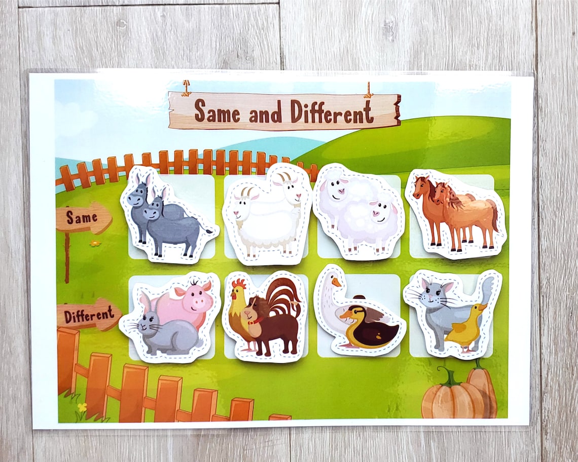 Montessori Sorting Work for Toddlers and Preschoolers, Same Different ...