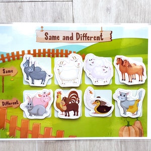 Montessori Sorting Work for Toddlers and Preschoolers, Same Different ...