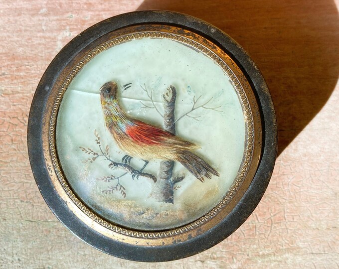 Exceptional Antique French Snuff Box With Feather-art Bird, Gilt Frame ...