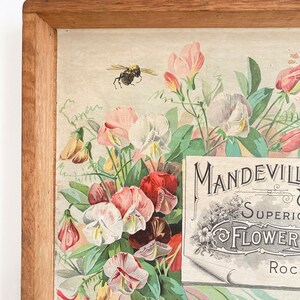 Mandeville & King Co. Antique Flower Seed Box Wooden Country - Etsy