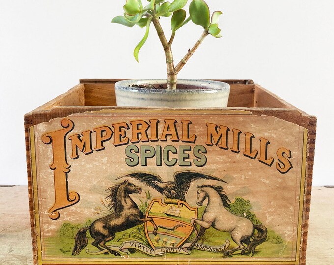 19th Century Advertising Spice Box, Rare Antique Wood Crate, Original ...