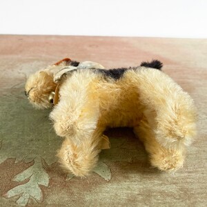 Vintage Steiff Terry Circa 1950, Sweet, Miniature Airedale Terrier Toy ...