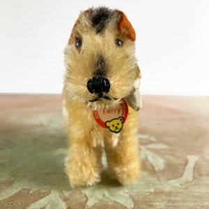 Vintage Steiff Terry Circa 1950, Sweet, Miniature Airedale Terrier Toy ...