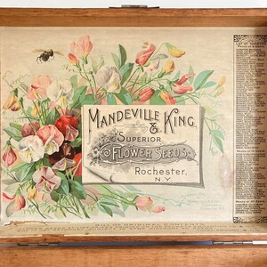 Mandeville & King Co. Antique Flower Seed Box Wooden Country - Etsy