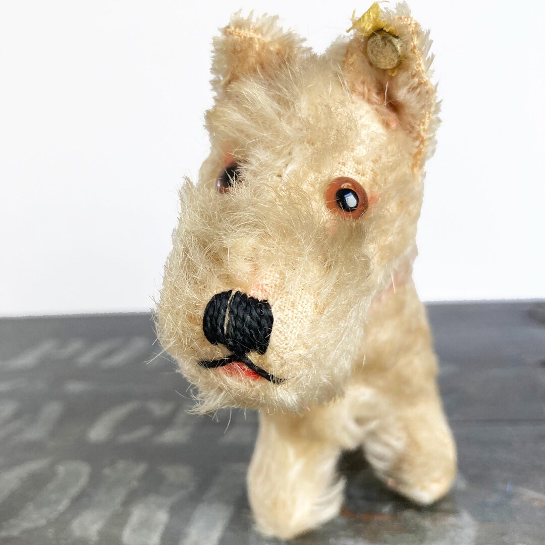 Vintage Steiff Smallest Sealyham Terrier With Ear Button, C1950, Straw ...