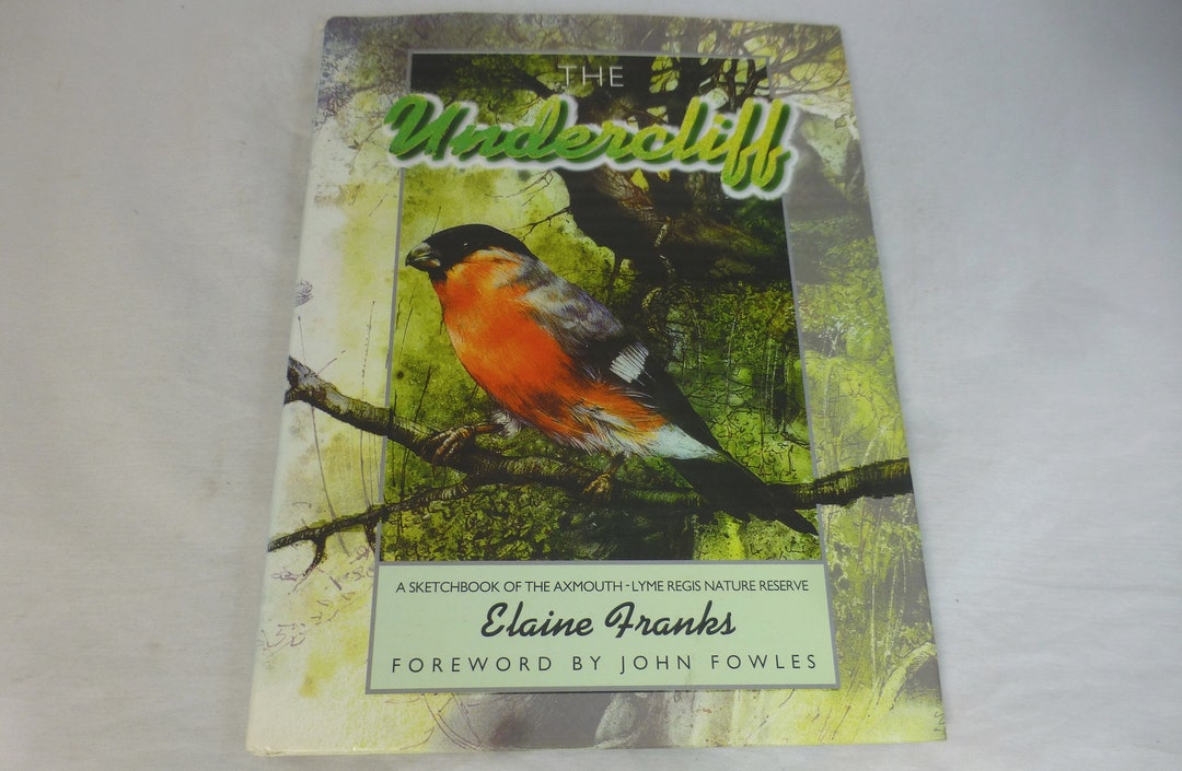 The Undercliff Book by Elaine Franks Hardback Dust Jacket - Sketchbook ...