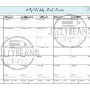 My Weekly Food Tracker Printable Daily, Meals, Water, Alcohol, Steps ...