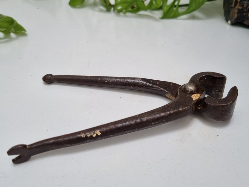6 Ball and Claw Vintage Carpenters Pincers / Nippers - Etsy