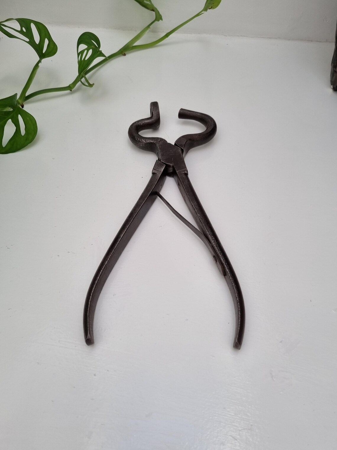 Antique Bull Nose Ringing Pliers by Wynn & Timmins - Etsy