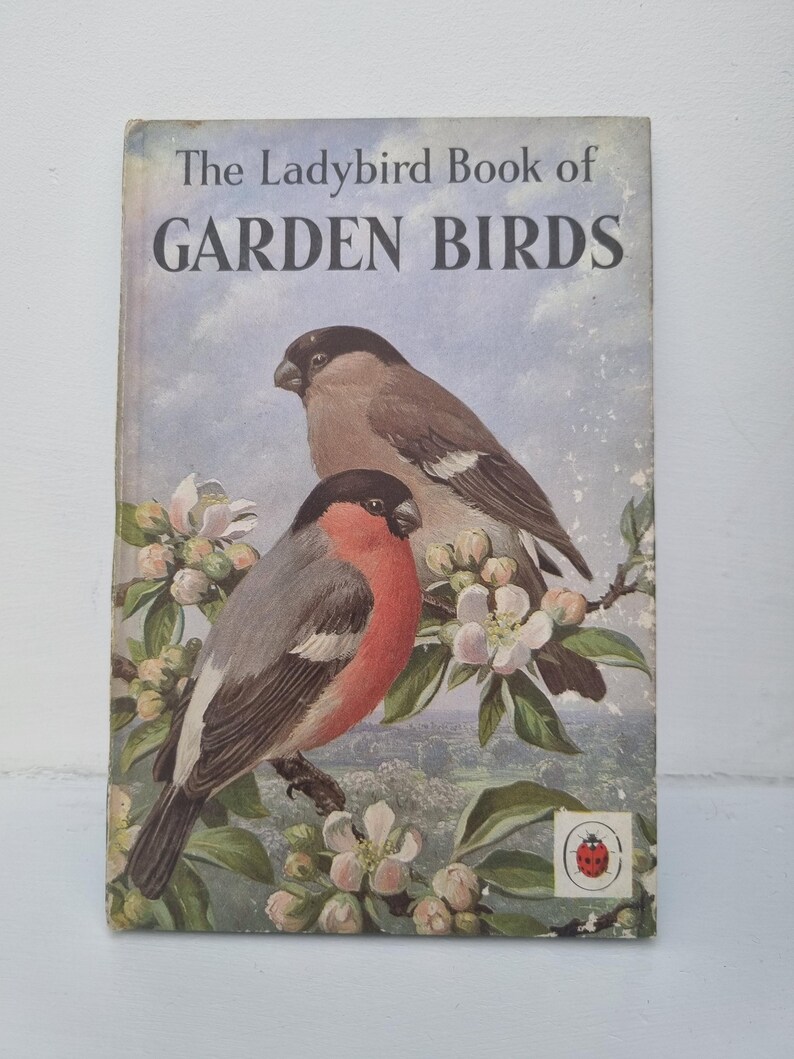 Ladybird Books - Choose From This Fantastic Selection of Vintage ...