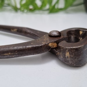 6 Ball and Claw Vintage Carpenters Pincers / Nippers - Etsy