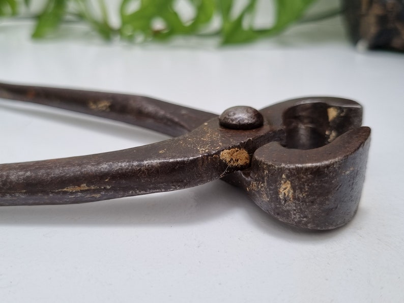 6 Ball and Claw Vintage Carpenters Pincers / Nippers - Etsy