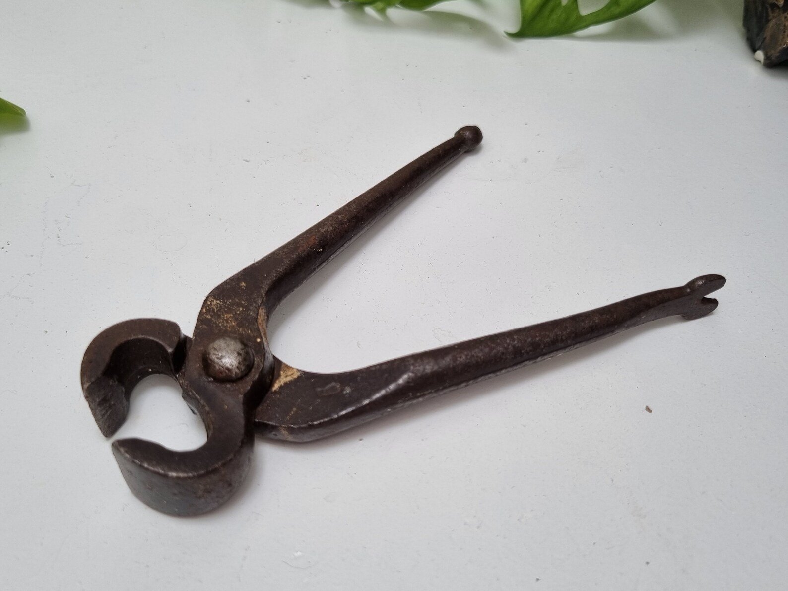 6 Ball and Claw Vintage Carpenters Pincers / Nippers - Etsy