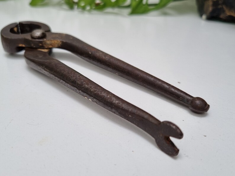 6 Ball and Claw Vintage Carpenters Pincers / Nippers - Etsy