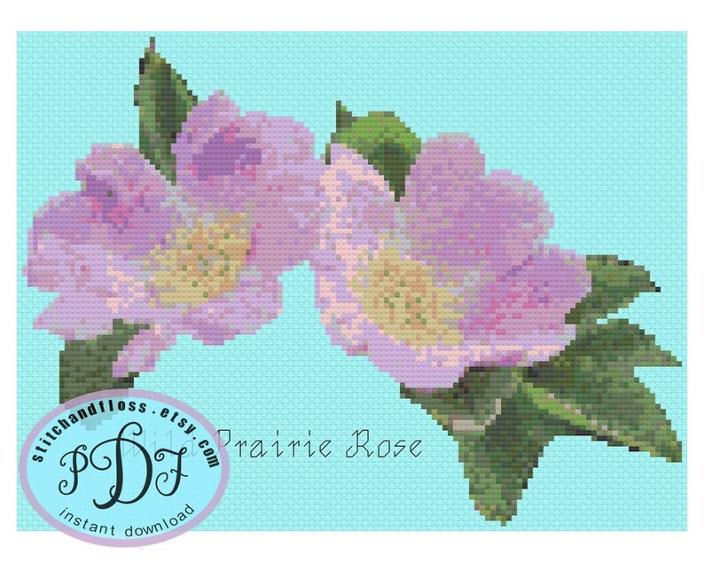 Wild Prairie Rose - Realistic Watercolor Floral Flower - Counted Cross ...
