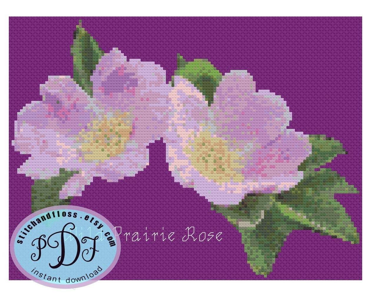 Wild Prairie Rose - Realistic Watercolor Floral Flower - Counted Cross ...