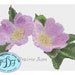 Wild Prairie Rose - Realistic Watercolor Floral Flower - Counted Cross ...