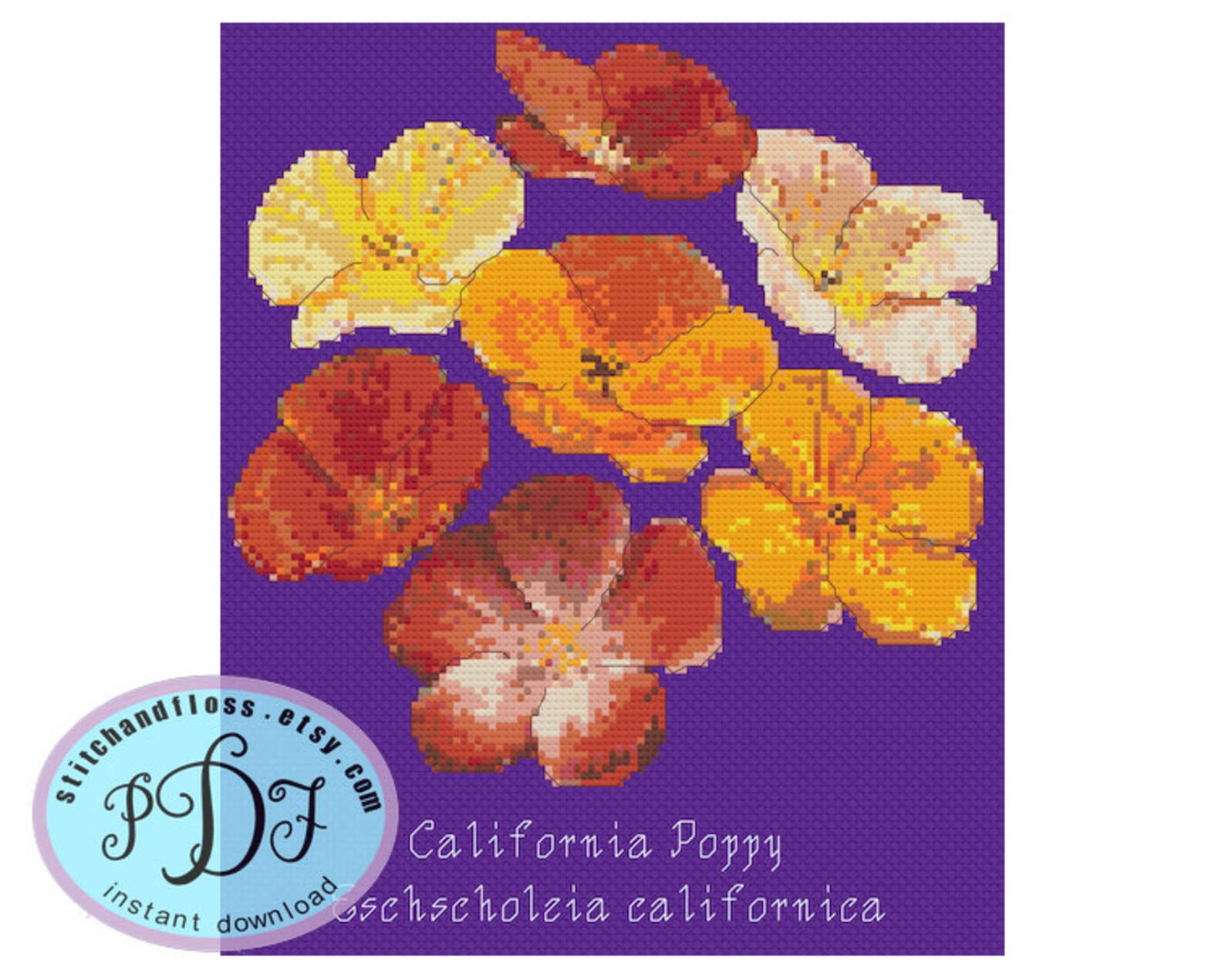 California Poppy - Eschscholzia Californica - State Flower - Pretty ...